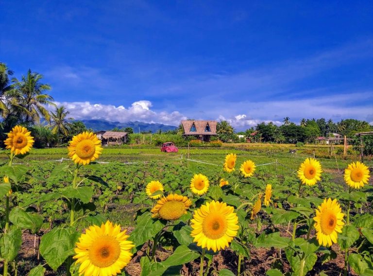 Explore Tanjay – Tanjay Travel